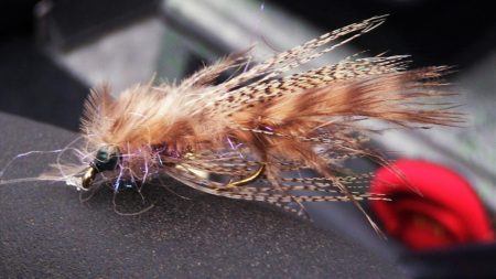 Pere Marquette River Fishing Reports for Trout, Salmon, and Steelhead